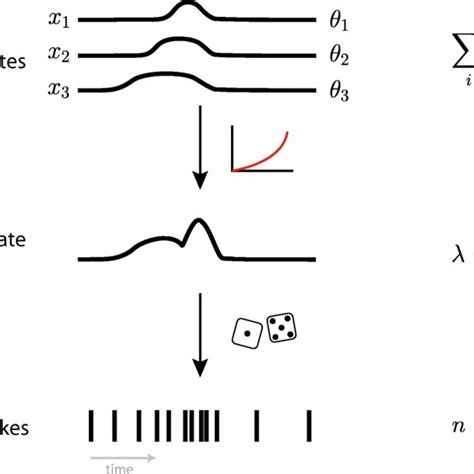 Linear Nonlinear Time Warp Poisson Models Of Neural Activity Request Pdf