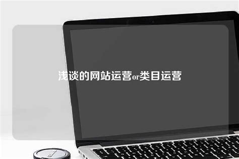 浅谈的网站运营or类目运营 世外云文章资讯