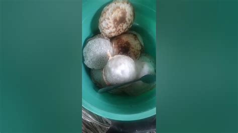 ලංකාවේ පලවෙනි වතාවට ලබාදුන් කී රොටී දන්සල කෝන්වැවෙන් 😋 Youtube