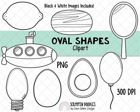 A Collection Of Clipart Images Featuring Various Oval 2d Real World