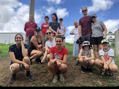 Volunteers Bring Christmas Cheer To Animals In Need The Courier Mail