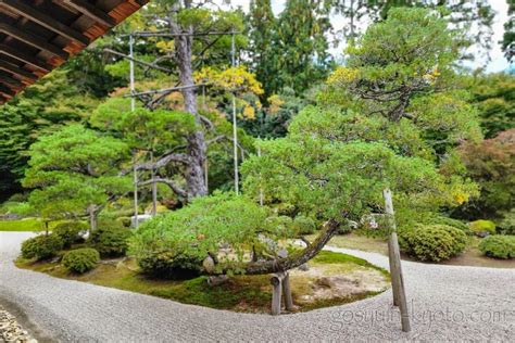 曼殊院の御朱印を2種類紹介黄不動や紅葉で有名な一乗寺の門跡寺院御朱印から学ぶ京都