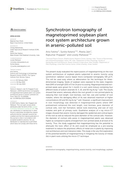 Pdf Synchrotron Tomography Of Magnetoprimed Soybean Plant Root System Architecture Grown In