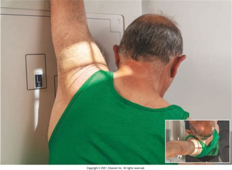 Exam 2 Positioning Shoulder And Clavicle Flashcards Quizlet
