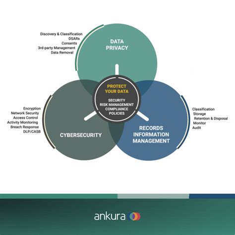 How To Protect Your Data Assets And Comply With Regulations Ankura
