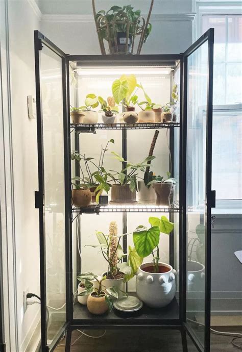 Convert Ikea Milsbo Cabinet Into Greenhouse Artofit