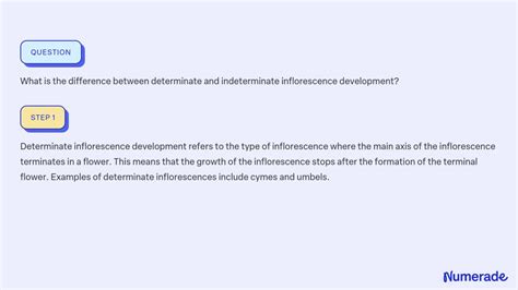 Solved What Is The Difference Between Determinate And Indeterminate Inflorescence Development