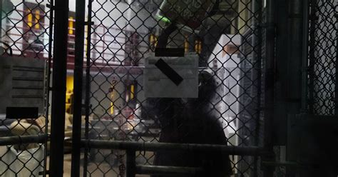 Guantánamo Bay Explained The Costs The Captives And Why Its Still Open The New York Times