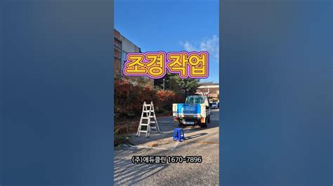 조경작업 힘든 일이지만 그것보다 주변이 변한 환경이 너무 보기 좋네요 Youtube