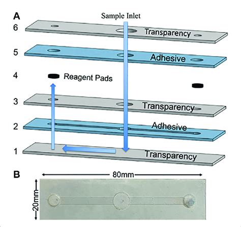 A Cad Rendering Of Device Assembly With Alternating Transparency And