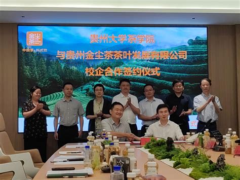 贵大茶学院夏秋茶综合利用产业队助力乡村振兴