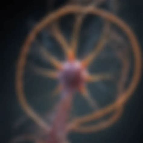 Innovative Setup For Culturing Hippocampal Neurons