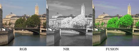 a sample of fusion in rgb and nir images using mvsp download