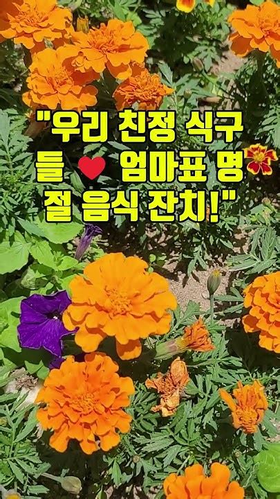 며느리가 시댁 명절음식을 친정에 가져가서 엄마가 만든척유튜브쇼츠 사이다복수 시어머니사이다 며느리갑질 Youtube