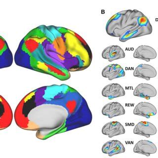 Olumetric Segmentation Of Resting State Networks Based On Maximum