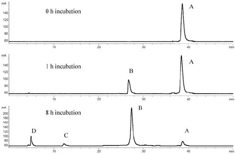 Hplc Elution Profile Of 111 In Bzh1 Download Scientific Diagram