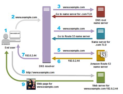 4 3 Explain The Role Of DHCP And DNS Within The Network Nextgenccnas