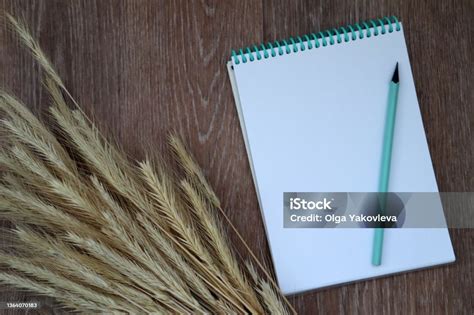 흰색 나선형 메모장의 열린 빈 빈 페이지의 모형과 파란색 연필과 나무 배경에 밀의 말린 귀 텍스트의 공간을 복사합니다 0명에