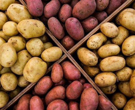 Капуста Картофель Морковь лук репчатый оптом купить в Кургане цена 25 руб истекает через