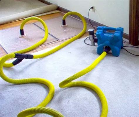 Water Mitigation Old South Construction