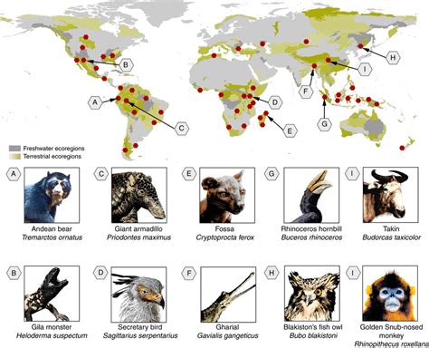Visualization Of Prioritized Places And Candidate Flagship Species The Download Scientific