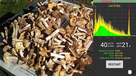 Radioactive Cesium 137 Allradioactive