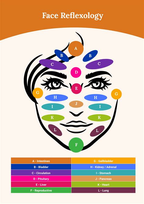 Face Chart In Illustrator Pdf Download