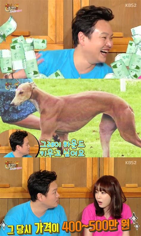 해투 김민교 과거 부유한 삶공개 그레이하운드 30마리