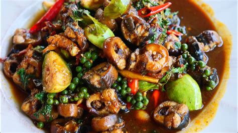 วิธีผัดเผ็ดปลาไหลให้อร่อยไม่คาว ผัดเผ็ดปลาไหลแซบๆจ้า Youtube