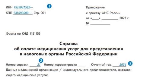 Справка об оплате медицинских услуг 2025 для налоговой образец