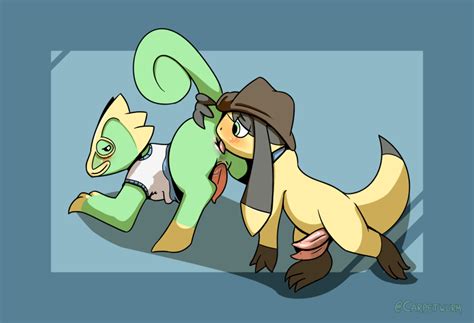 Rule 34 Anal Animal Genitalia Animal Penis Bow Tie Carpetwurm