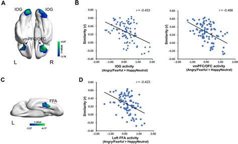 Brainbehavior Correlation Results A B Whole Brain Analysis A The Download Scientific