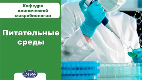 6. Питательные среды - YouTube