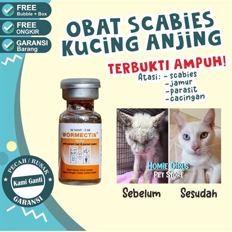 Jual Obat Scabies Kucing Anjing Kelinci Ampuh Obat Jamur Cacingan Kucing Anjing Jamuran Murah