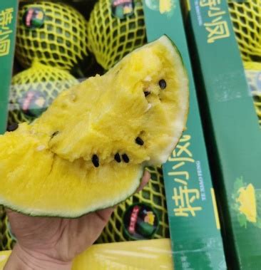 特小凤西瓜批发 精品特小凤西瓜3到六斤基地直供质量有保证价格2 60元 斤 一亩田