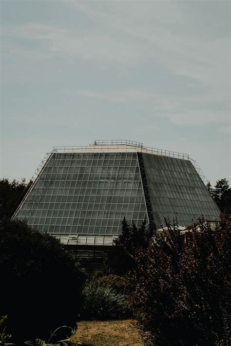 간소화 된 건축 고요한 그리드 창 그림자 놀이 금속 프레임 기하학적 패턴 깨끗한 라인 내부 사진 넓은 실내 노출 된 벽돌 다락방 아파트 대조적인 빛