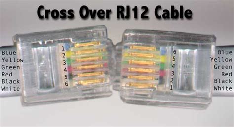 Rj25 Wiring Connector Connection