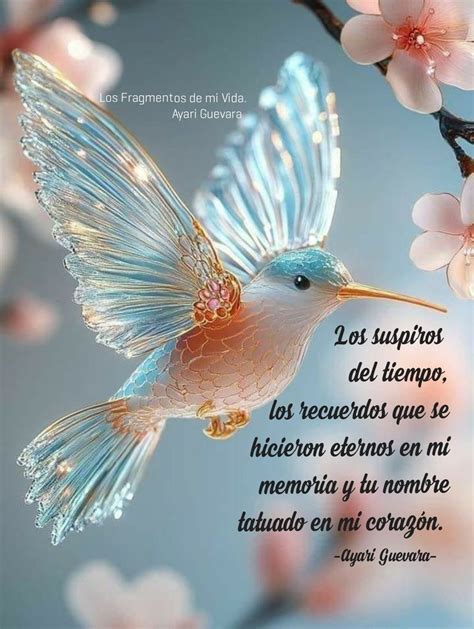 Condolencias Frases Pesame Dedicatorias Para Amigos Mensaje De