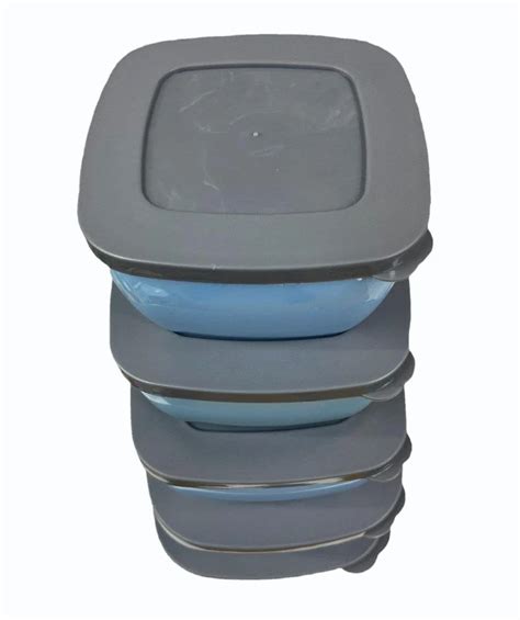 Biodegradable Multi Purpose Container Set At Rs 250 Set Multi Purpose
