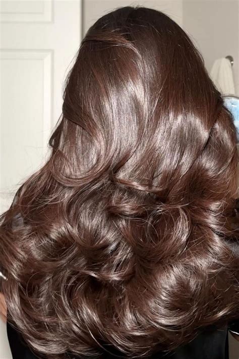 Pin By 𝐓α𝗍α ⸆⸉ On Vision Board 📓 Gorgeous Hair Long Shiny Hair