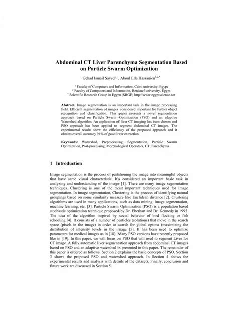 PDF Abdominal CT Liver Parenchyma Segmentation Based On Particle