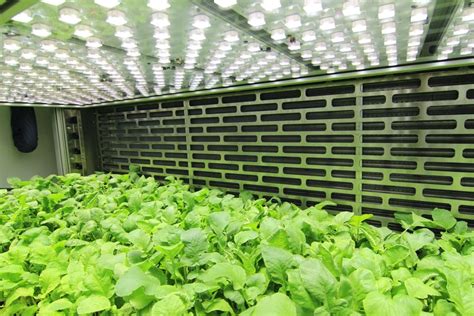 Светодиодные фитопанели PSI – купить в интернет-магазине LABSPACE