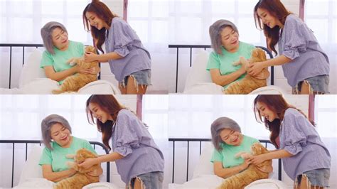 亚洲老年妇女与女儿在家里玩家猫。成熟的年长女主人和年轻女子坐在床上，与她的宠物动物在卧室里度过自由的视频素材下载编号26532365光