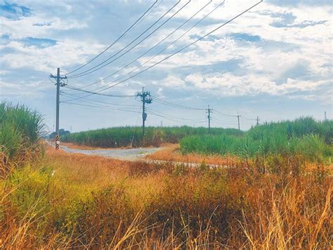 台南闢98公頃工業地 吸台商回流 地方新聞 中國時報