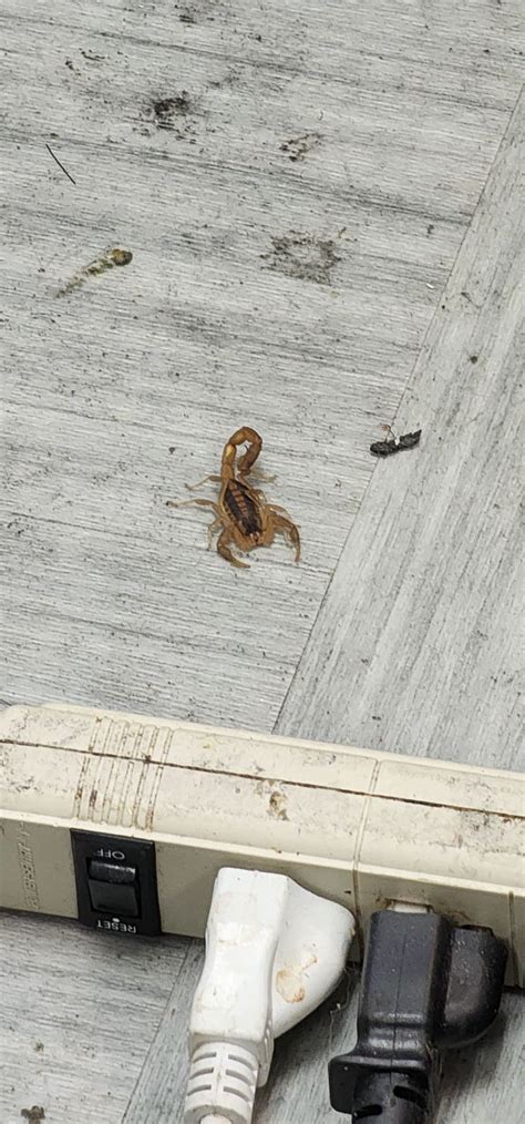 Yaw Jason Osei On Linkedin Technology