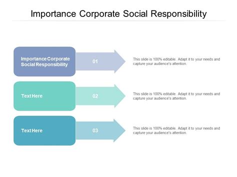 Importance Corporate Social Responsibility Ppt Powerpoint Presentation