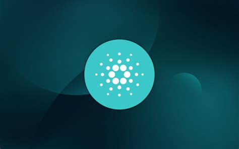 Insights Zodia Custody