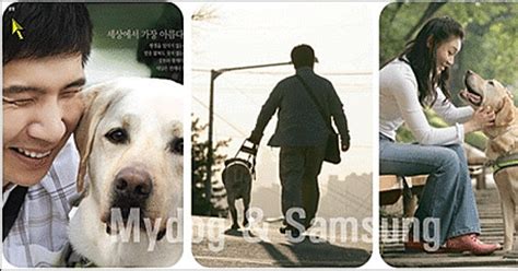 흰 지팡이와 안내견이 어떻게 다르냐고요