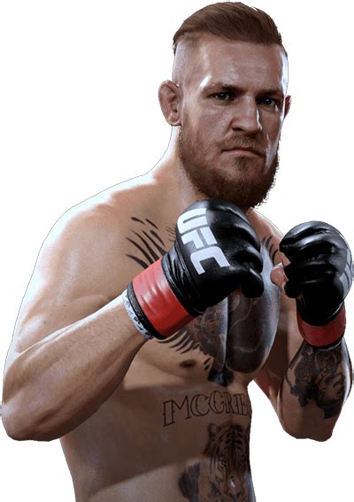 Download Conor Mc Gregor U F C Fighter Pose