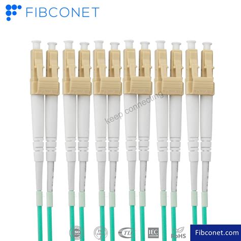 Ftth 3m Mpo Apc Lc Apc 12 Core Mpo Fiber Optic Patch Cord Cable China
